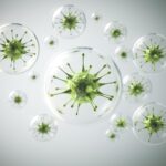 Microrganismos multirresistentes: o que são e como combatê-los - FBH ...